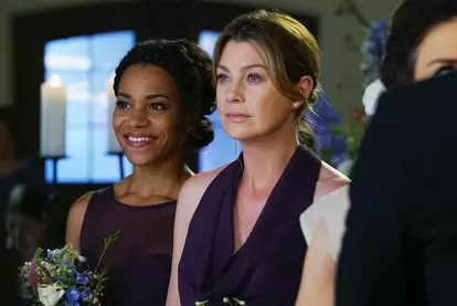 Kedu ihe mere n'etiti Meredith & Riggs Na 'Grey's Anatomy'? Mmekọrịta ha ga-emetụta onye ọ bụla 152867_3