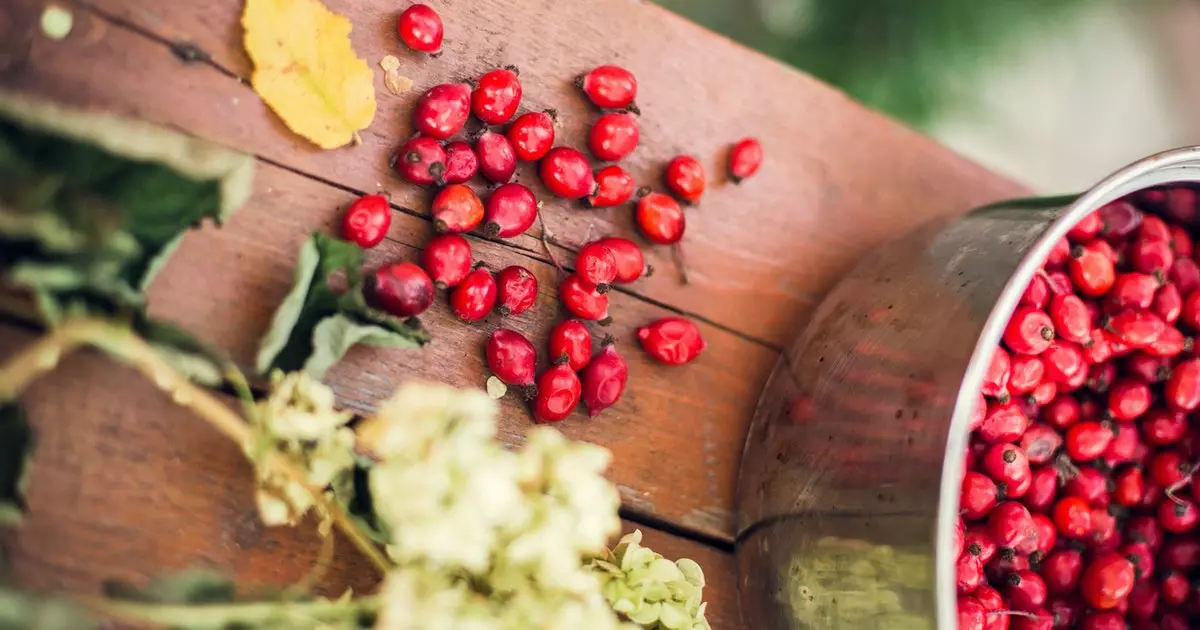 Bakit Napakabuti ng Rosehip Oil Para sa Iyong Balat, Ayon Sa Agham