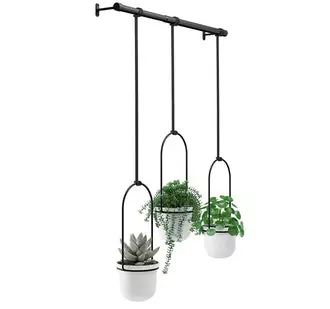 Umbra Triflora hanging Planter