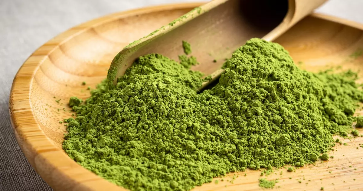 Αυτές είναι οι καλύτερες σκόνες Matcha για τσάι, ψήσιμο και smoothies