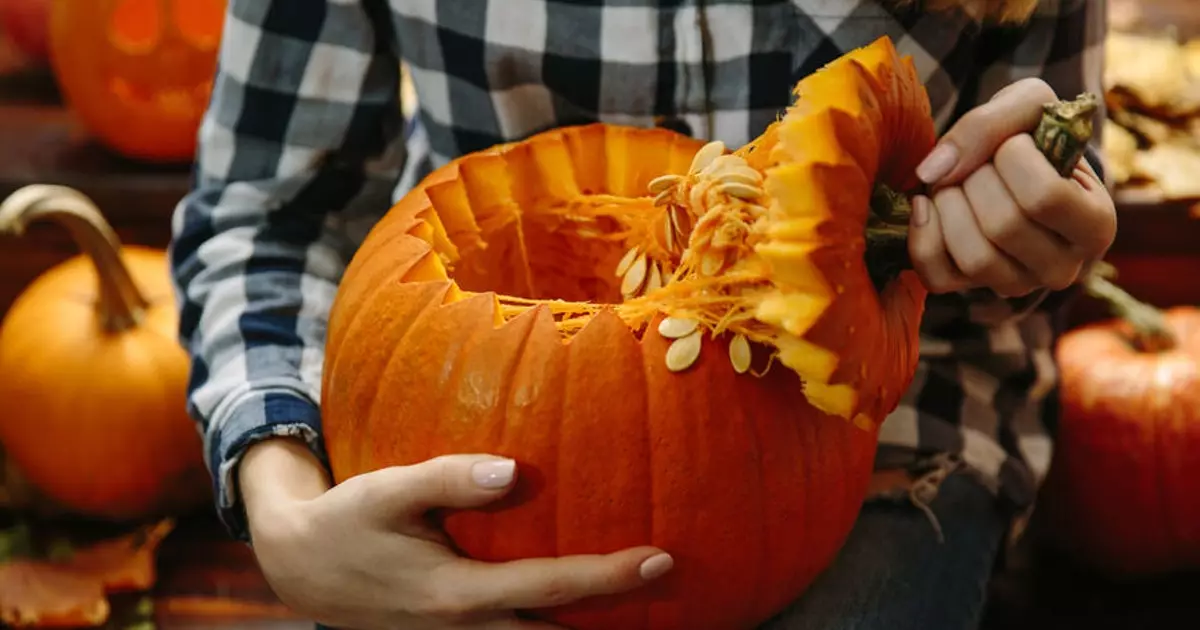 5 TikTok Recipes for the leftover pumpkin that are not only soup