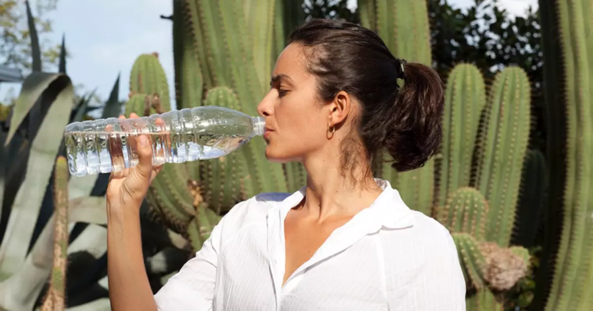 Tot sobre l'aigua de cactus, la beguda bulliciosa que estàs a punt de veure a tot arreu