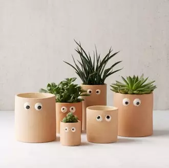 Henry Googly Eye Planter