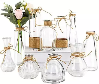 Nilos Clear Bud Vases