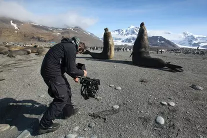 Devid Attenborunun “Yeddi dünya, bir planet” filminin çəkilişləri zamanı qütb ayısının heyətini heyrətləndirdi. 295143_2