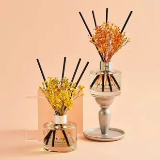 Cocod'or Ruva Reed Reed Diffuser