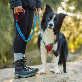 Tali Anjing Kurgo Ascender