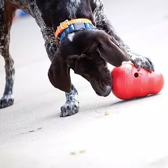 KONG Wobbler Treat Mendispens Mainan Anjing