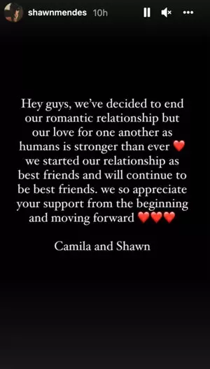 Camila Cabello opinberaði loksins hvers vegna hún og Shawn Mendes hættu 454_3