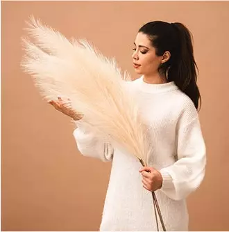 ბრუკლინის თეორია Faux Pampas Grass