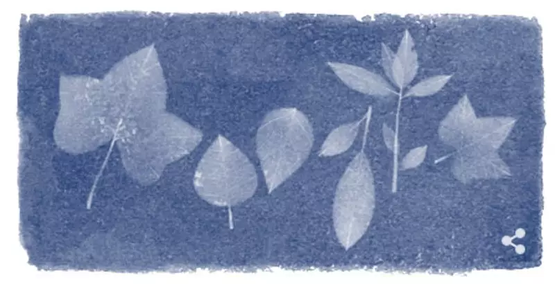 Wie is Anna Atkins? Hierdie Google Doodle vereer 'n vroulike pionier 58317_1