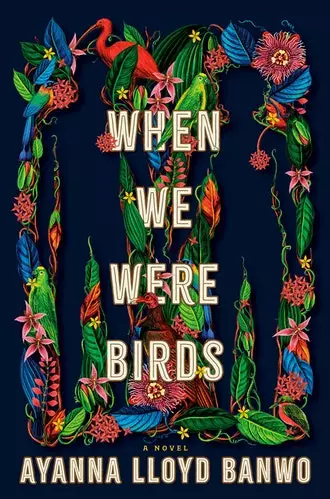 Ayanna Lloyd Banwo විසින් රචිත 'When We Were Birds'